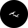 Fairytale Birds Gobo