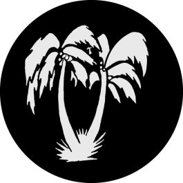 Palm 1 Gobo